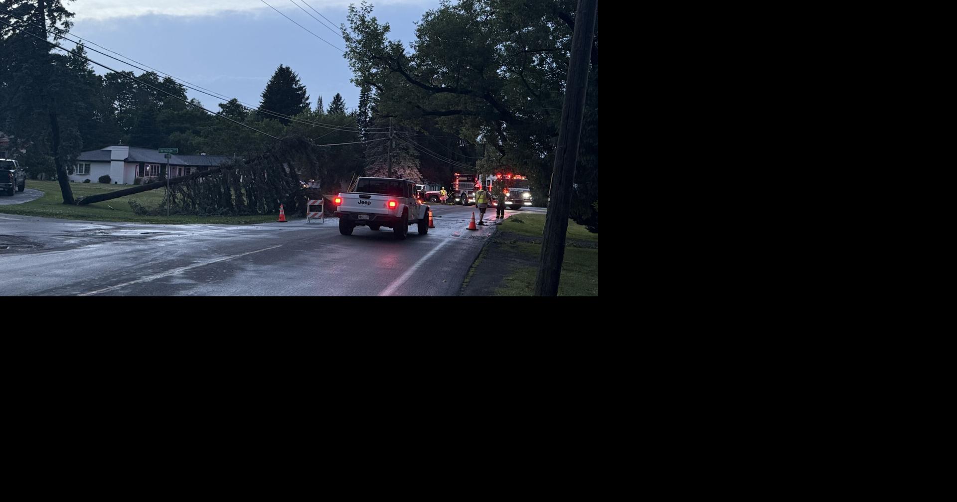 Storms knock down trees in New Hartford, areas in Oneida County | News ...