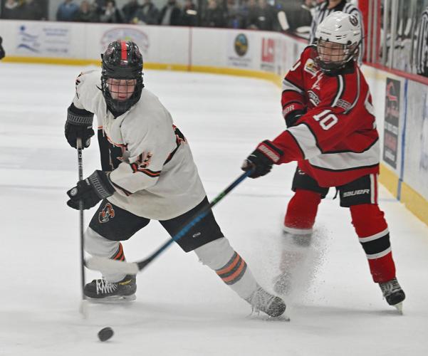 Rome Free Academy hockey is on to the semifinals with 2-1 home win over ...