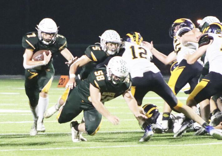 ACS Wildcats fall to General Brown Lions | American Football ...