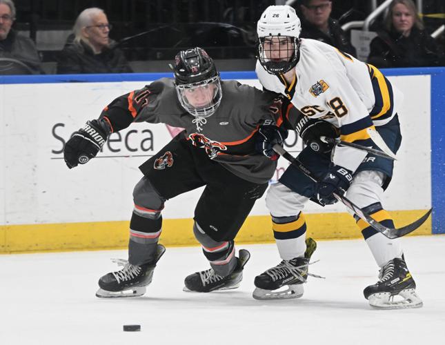 PREVIEW: boys hockey season preview and info on Rome tourney | Sports ...