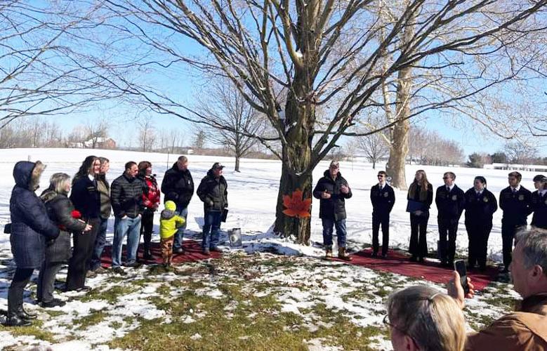 COLUMN: Thoughts on Maple Weekend | Boonville Herald | romesentinel.com