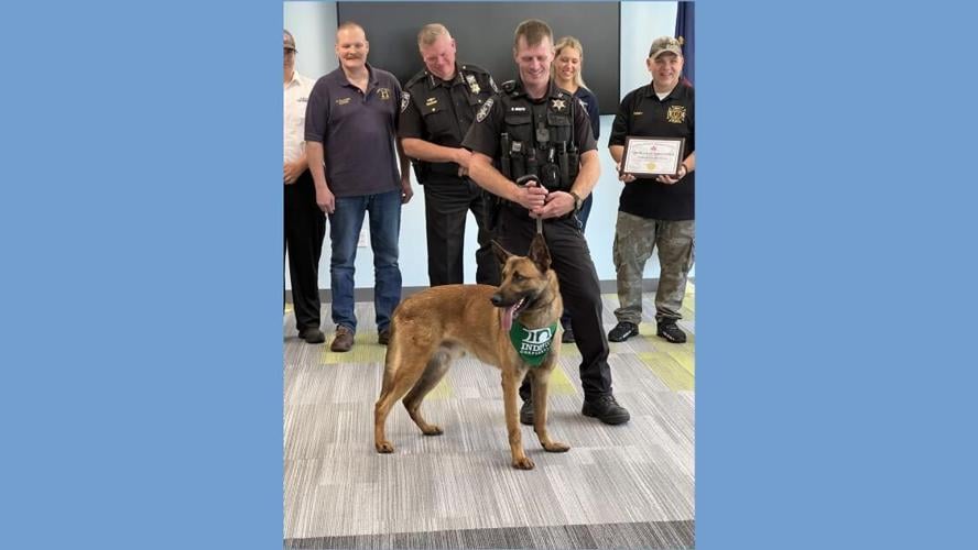 Meet the Oneida County Sheriff's new K9s | News | romesentinel.com