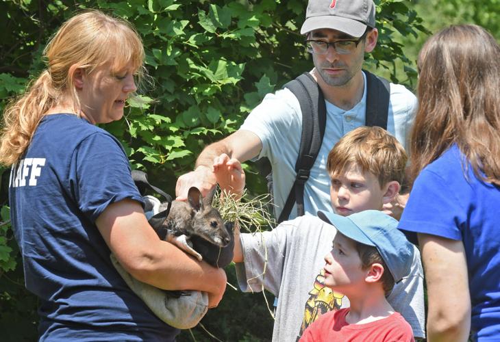 Fort Rickey celebrates end of summer | Entertainment/Life ...