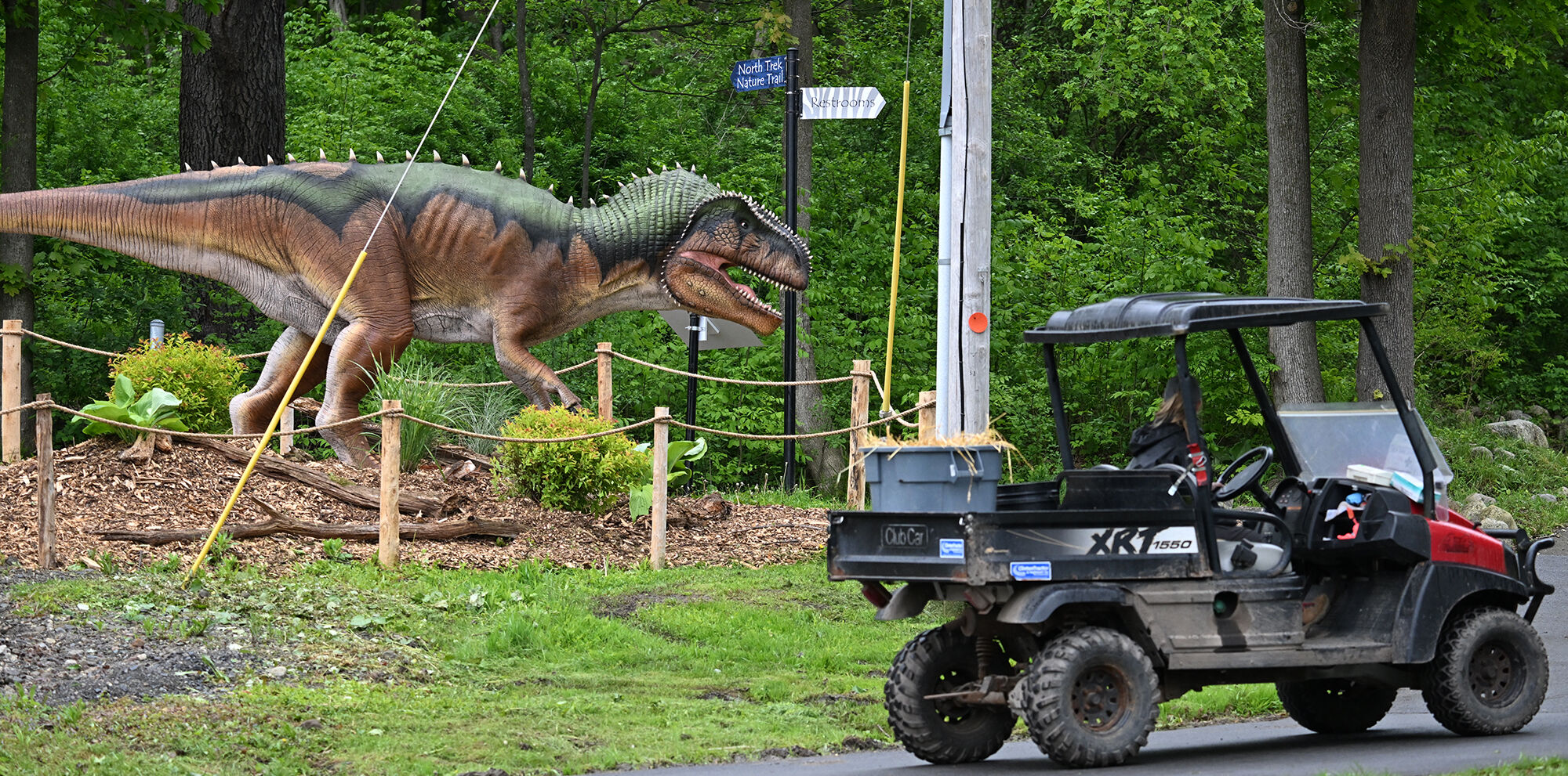 Dinosaurs on display at Utica Zoo | Entertainment/Life | romesentinel.com