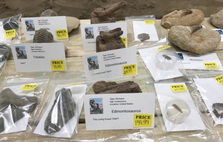 Eclectic Chic in Oneida expands to offer more eclectic fare | Content ...