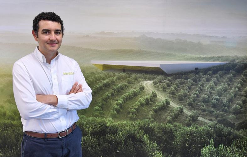 Sovena sets record for olive oil sales | Business | romesentinel.com
