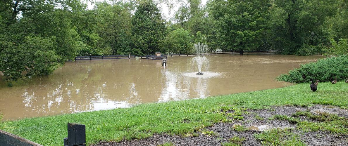 Flooding heaps misery on Fort Rickey Discovery Zoo | Rome ...