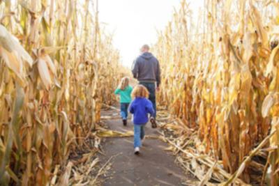 Remsen Depot corn maze to open for season Sept. 28 | Music ...