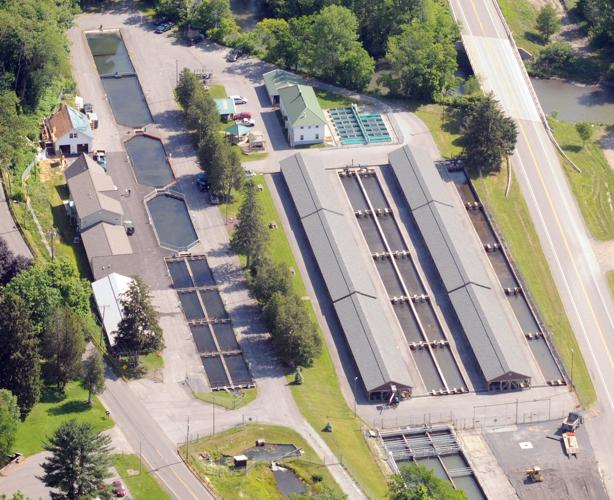 DEC to retrofit Rome Fish Hatchery | County news | romesentinel.com
