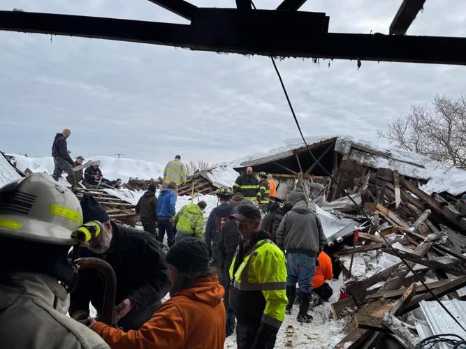 Nearly 100 cows rescued after barn collapses | Agriculture ...
