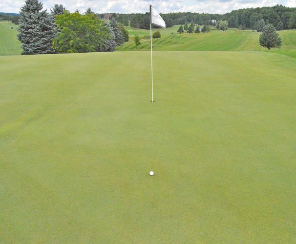 Barker Brook Golf Club: A Labor of Love | Sports | romesentinel.com