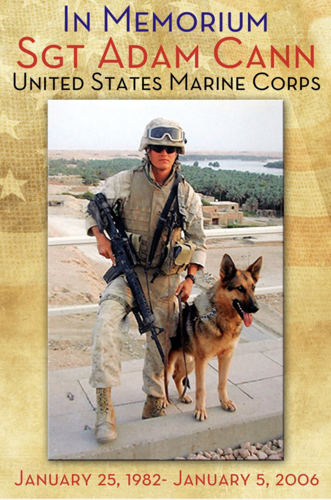 LETTER: Forgotten heroes deserve to be remembered | Opinion ...