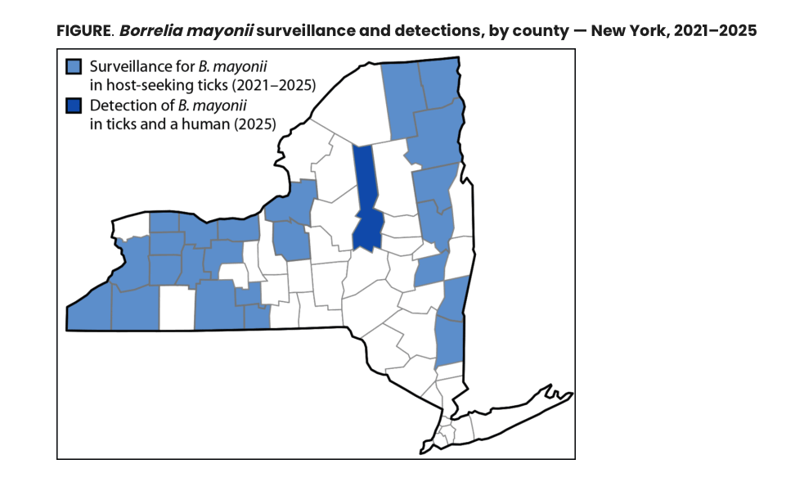 Protecting yourself and pets against ticks and Lyme Disease ...