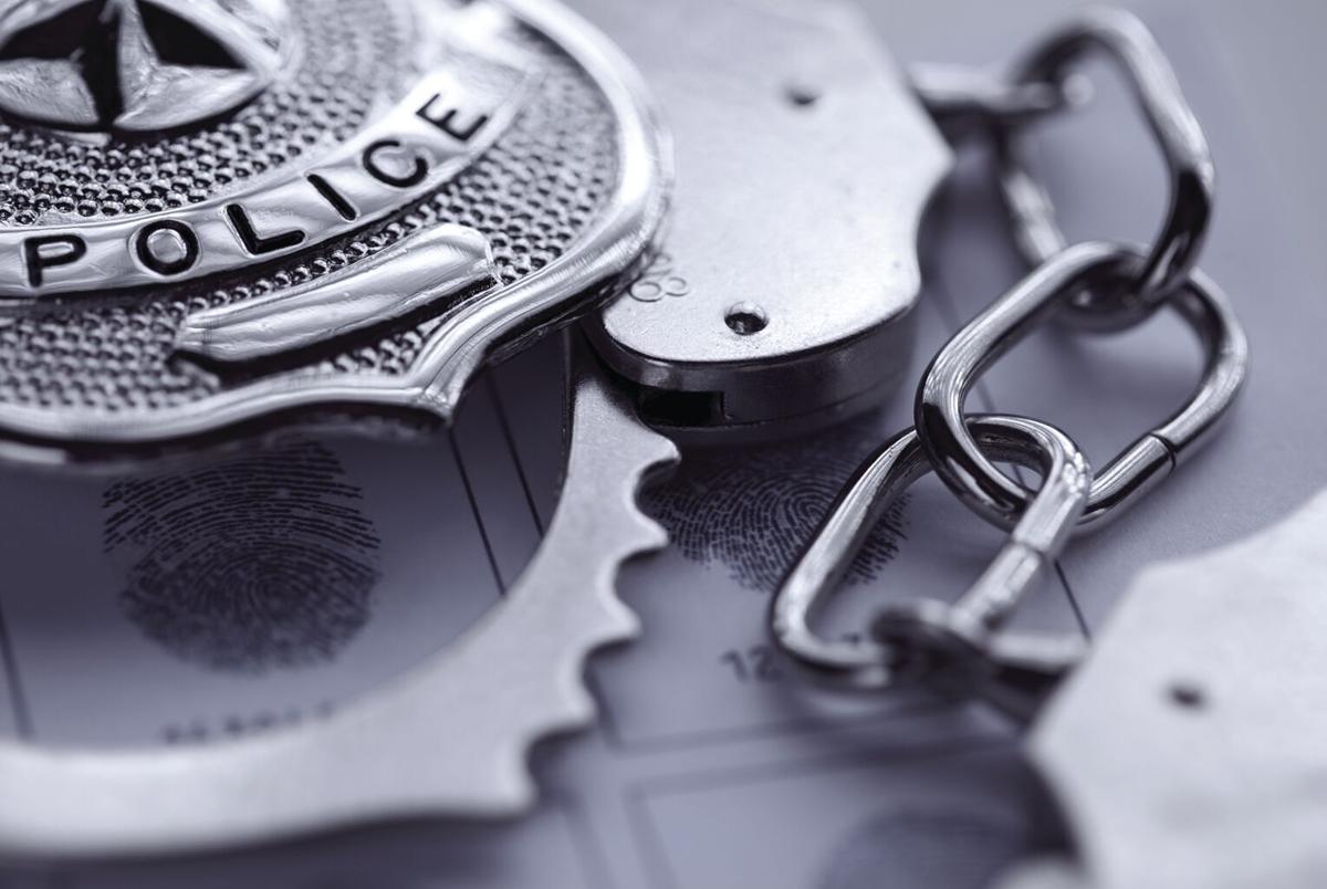 Westmoreland Man Arrested After Dogs Found in Dumpster | News ...