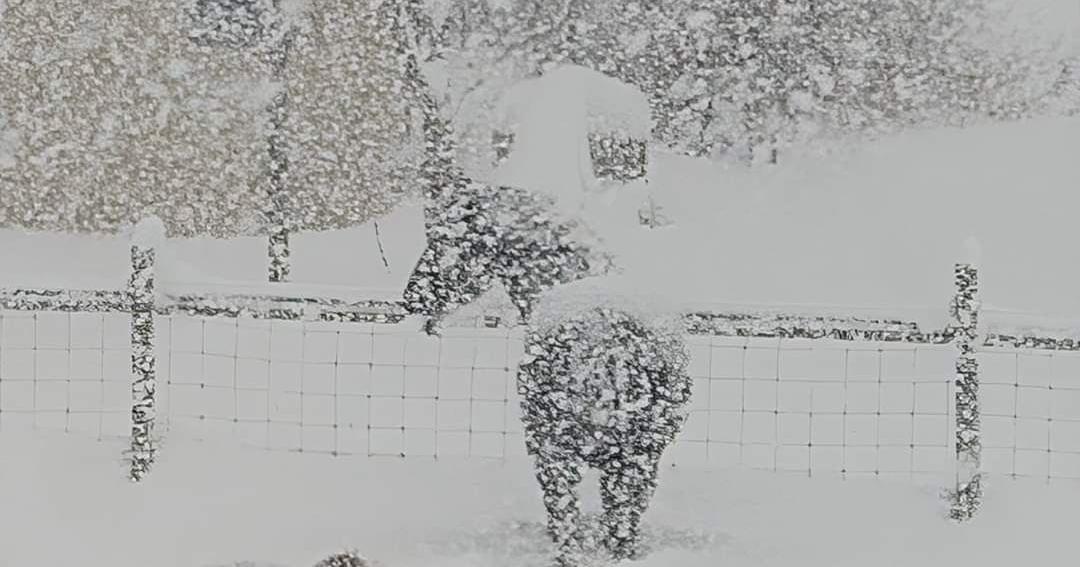Lake effect snow arrives by the feet in Lewis County | Meteorology ...