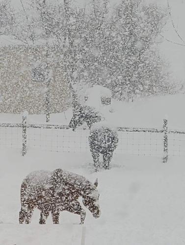 Lake effect snow arrives by the feet in Lewis County | Meteorology ...