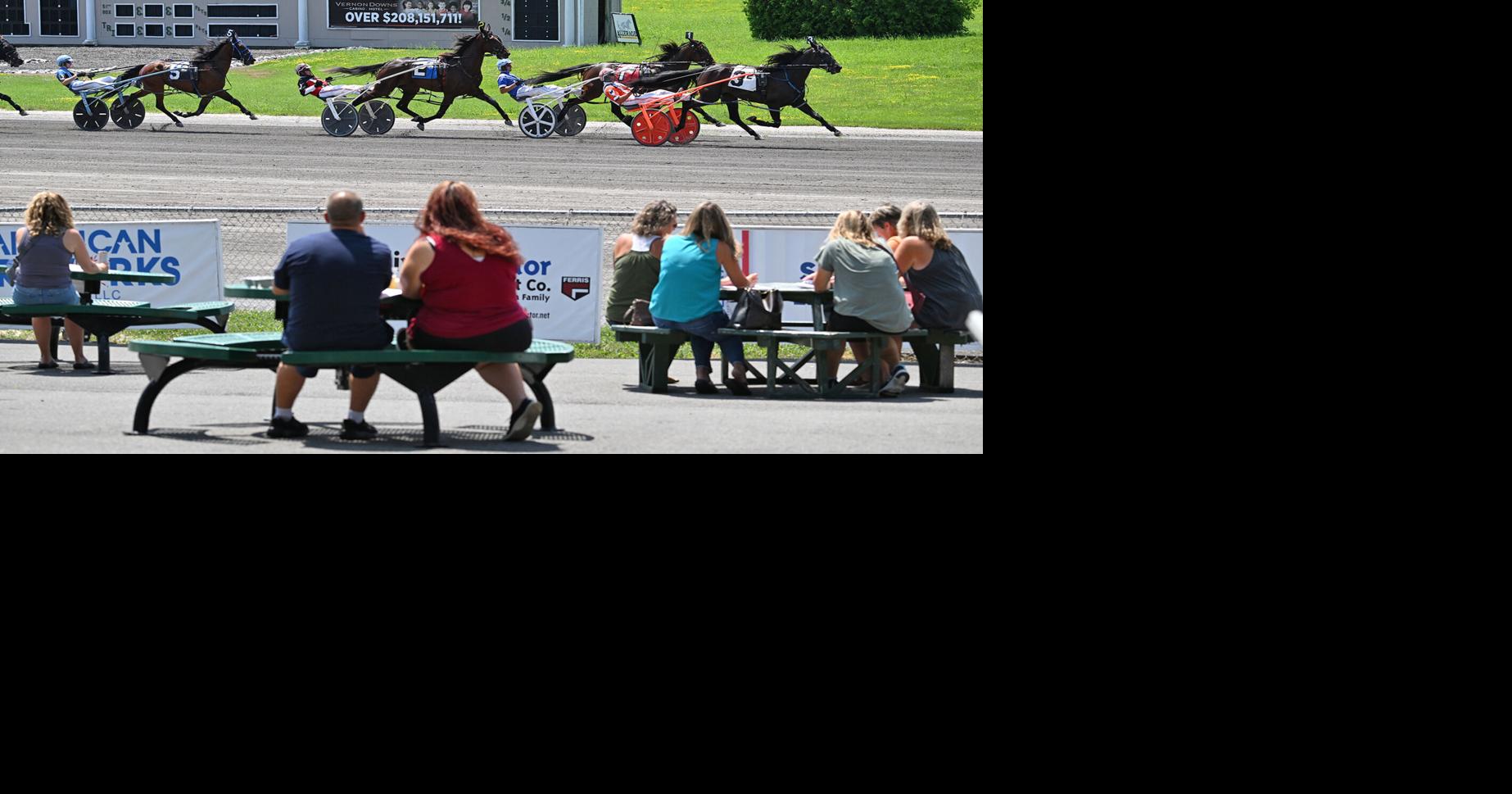 Pink Chou Chou earns New York Sire Stakes win at Vernon Downs | Sports ...