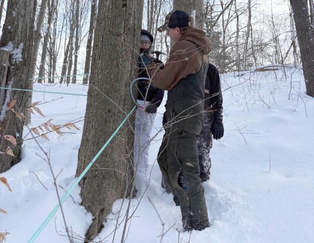 VVS FFA Maple Weekend returns with breakfast, tours | Content Exchange ...