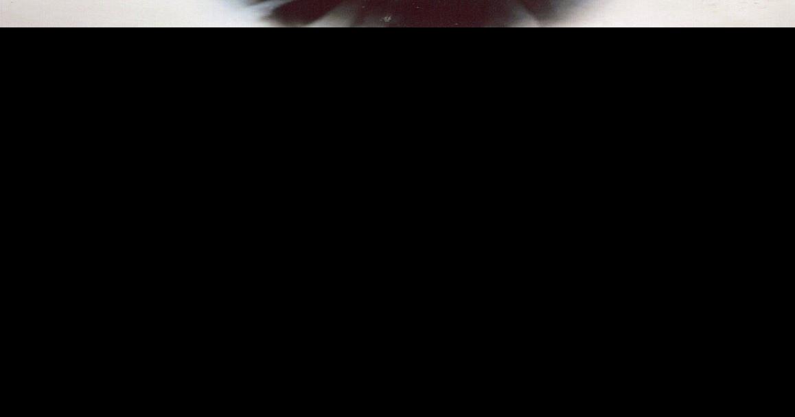 Richard Schoonmaker obituary | | romesentinel.com