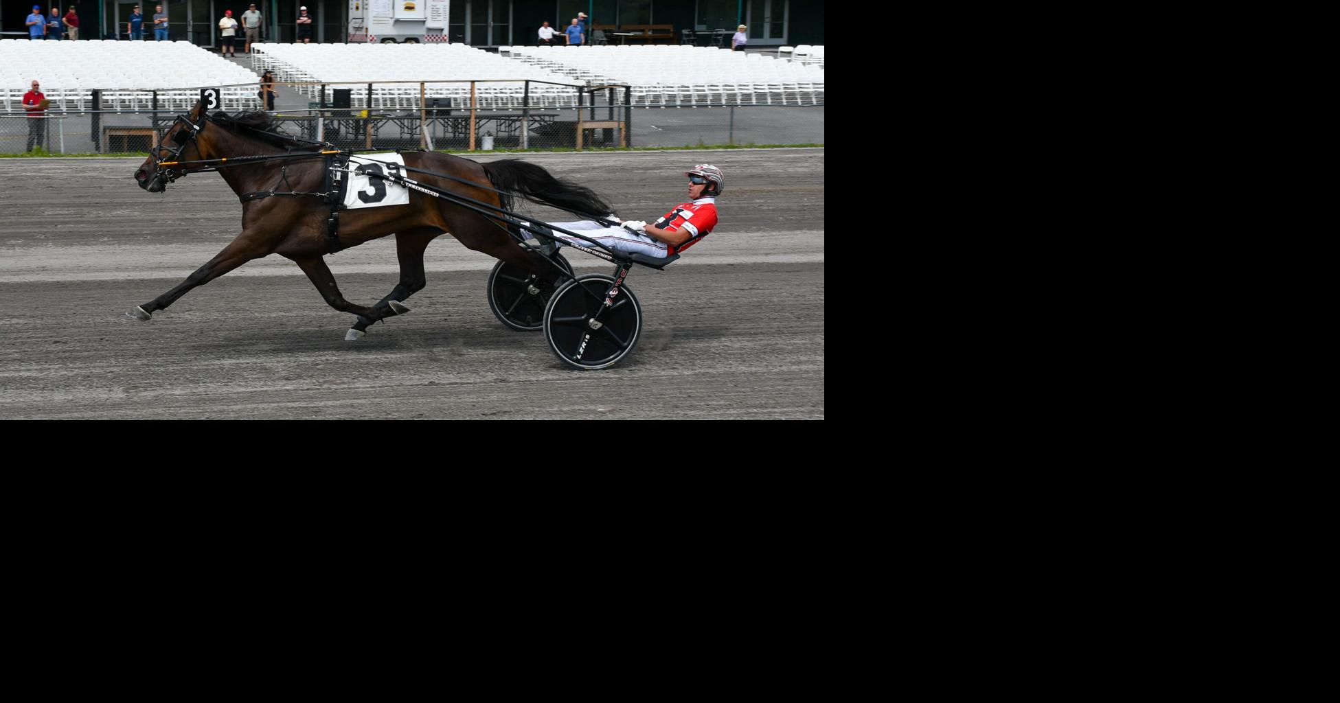 Empire Breeders Classic races and Sire Stakes at Vernon Downs | Sports ...