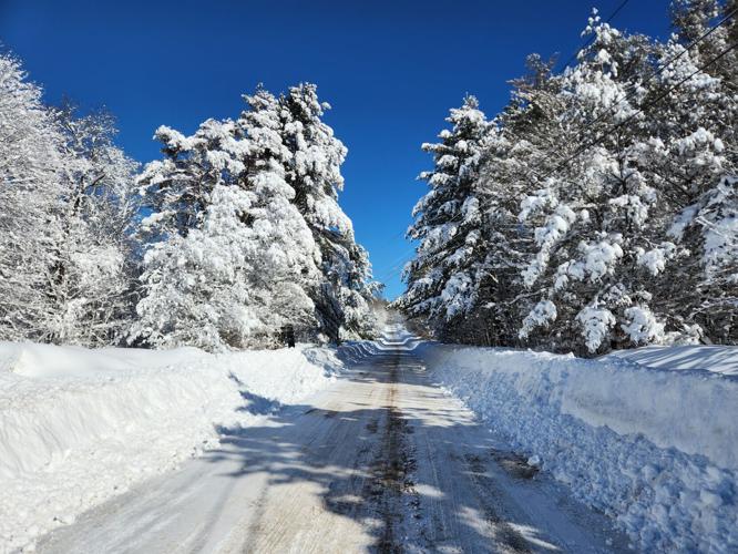 Snow beauty | | romesentinel.com