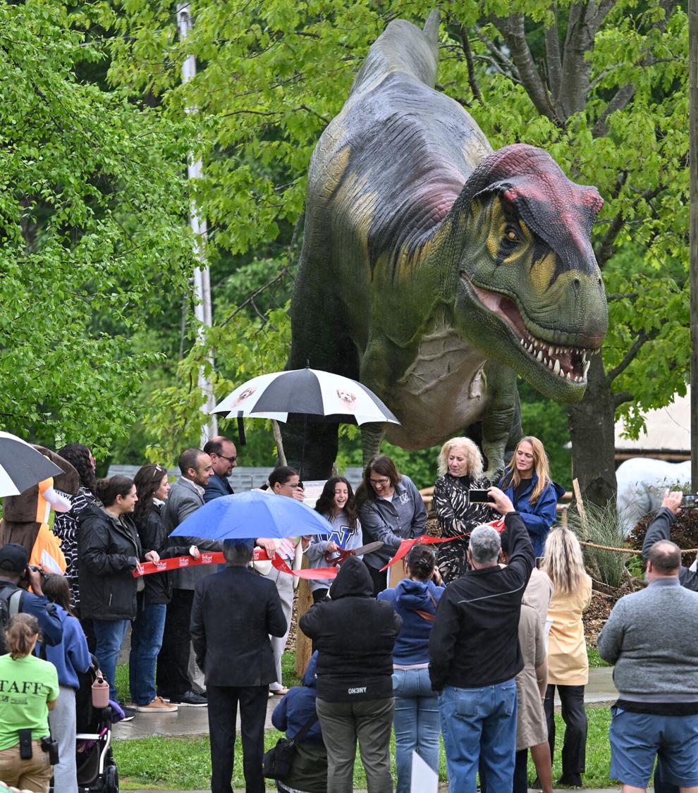 DINO GALLERY: See pics of dinosaurs on the grounds of the Utica Zoo ...