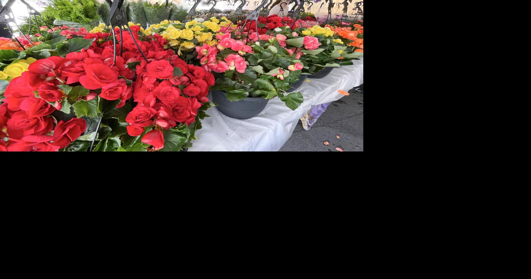 Holy Cross Academy to hold Mother’s Day plant sale | Religion ...