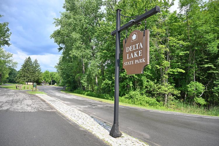 Algae blooms force temporary closure of Delta Lake swim area | Health ...
