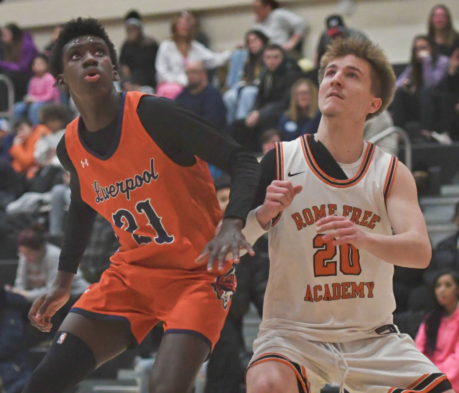 Rome Free Academy boys basketball falls to Liverpool | Sports ...
