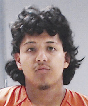 Jury issues domestic assault indictments | Local News ...