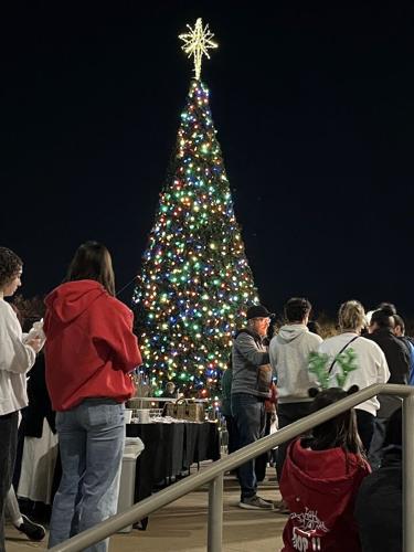 County courthouse Christmas tree welcomes holiday for second time ...