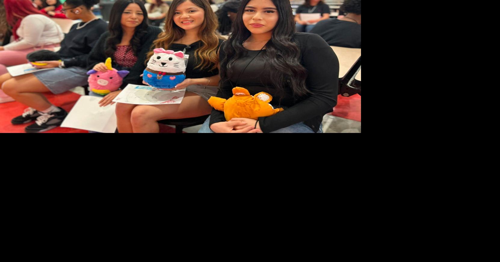 RCHS fashion design students build toys from kindergarteners ...