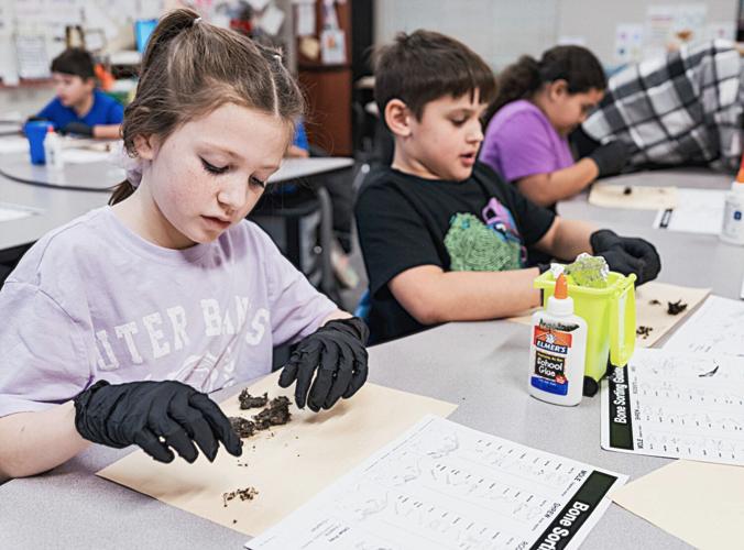 Royse City elementary students learn science by doing | News ...