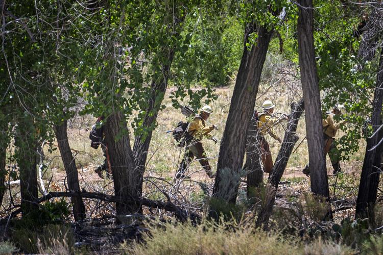 Fire chief: Rio Rancho Bosque to remain closed after fires | News ...