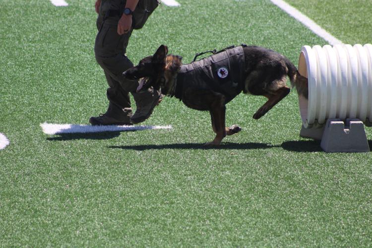 PHOTOS: RRPD Law Enforcement Torch Run K9 Competition | Multimedia ...