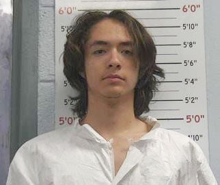 Skinner sentenced for murder of his father after pleading guilty ...