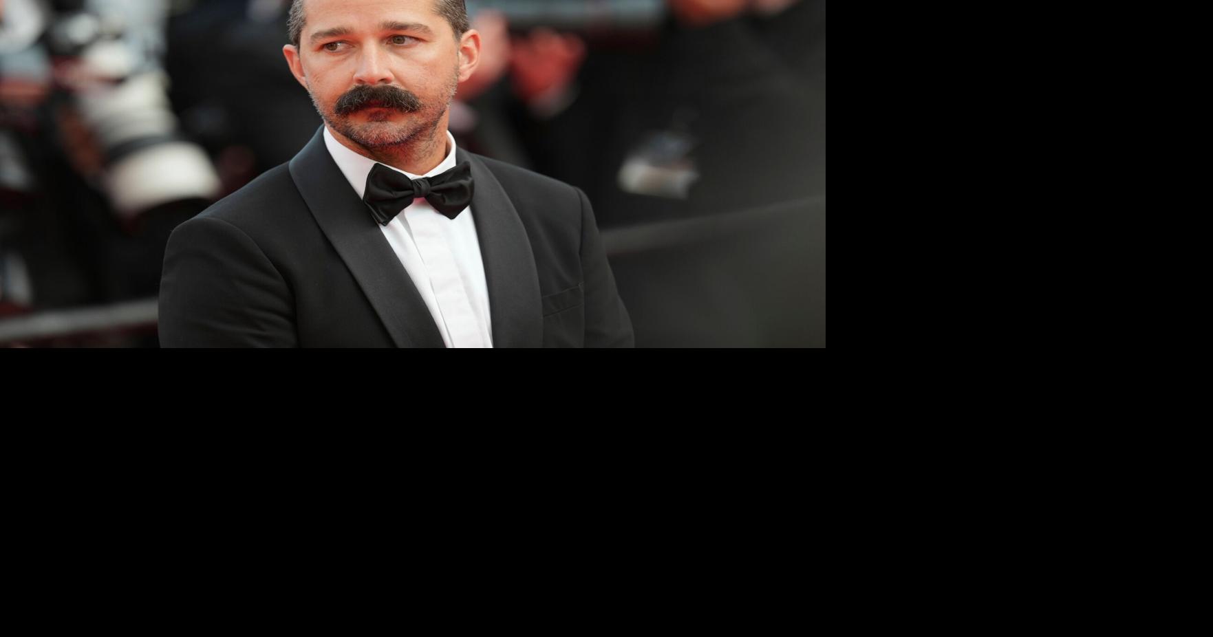 Shia LaBeouf gets probation after pleading guilty to punching bargoers ...