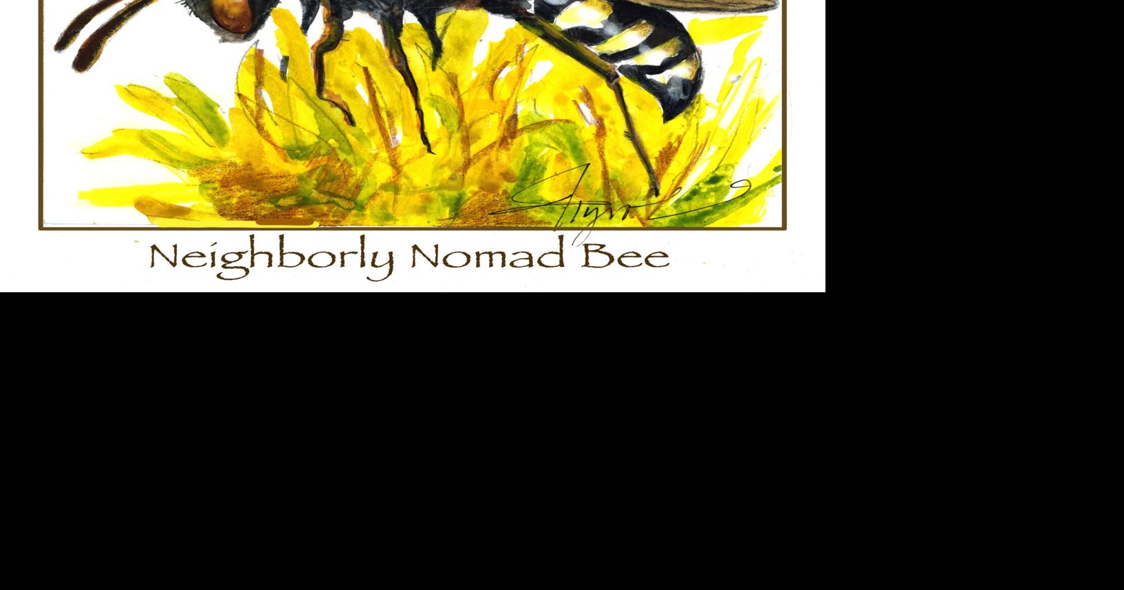 The Outside Story: Late-blooming flowers feed native bees | Weekend ...