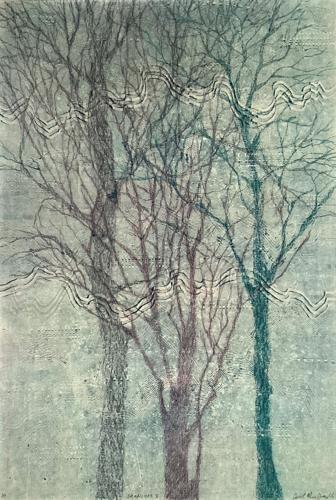 ‘Roots: Cultivating Connections’: Vermont artist Carol MacDonald makes ...