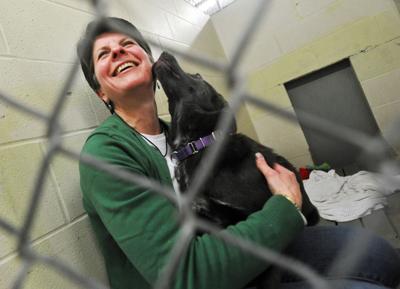 Humane Society rescues dogs from outside Vt. | News | rutlandherald.com