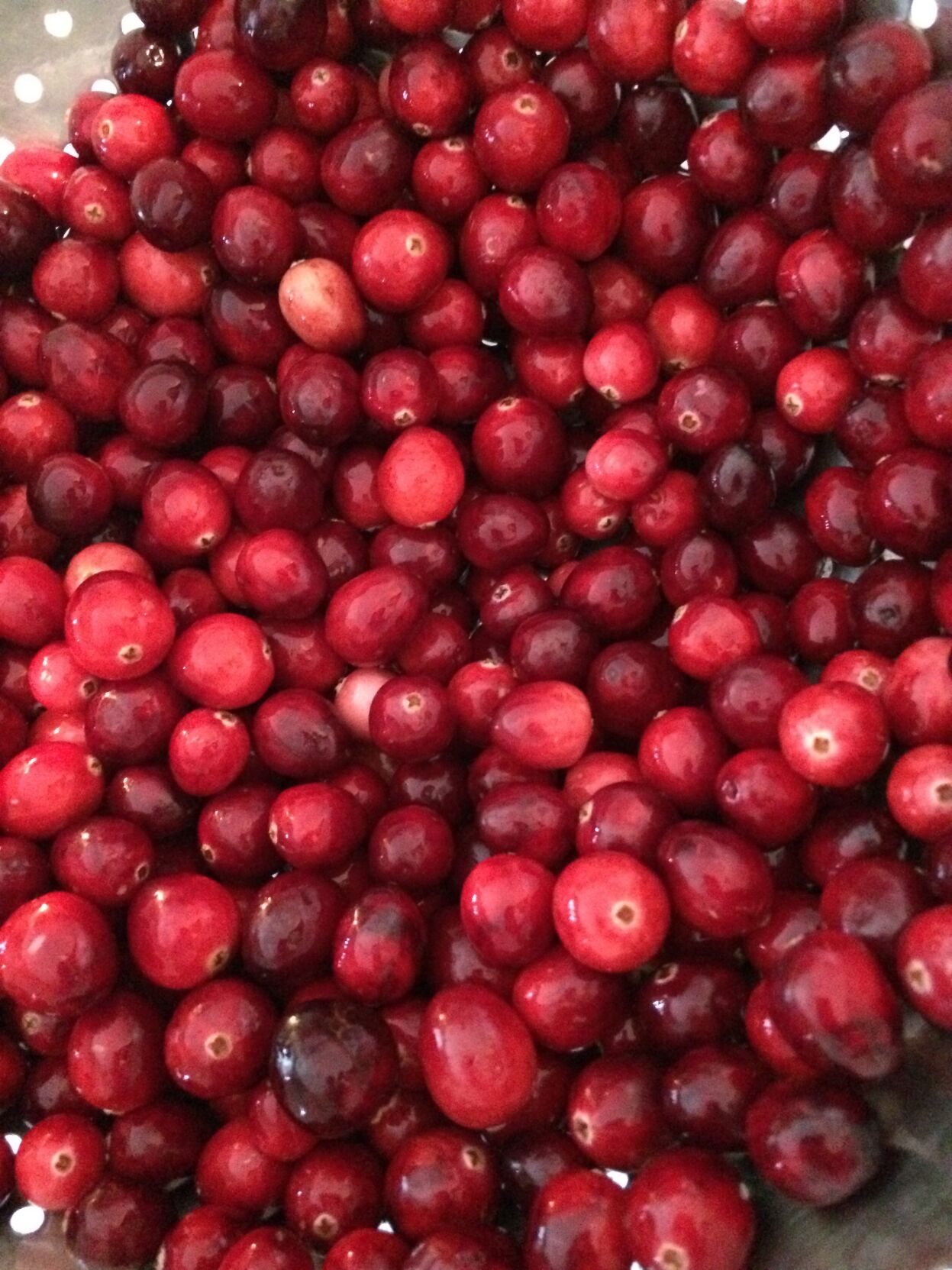 UVM Extension: Cranberry, more than a side dish | Weekend Magazine ...