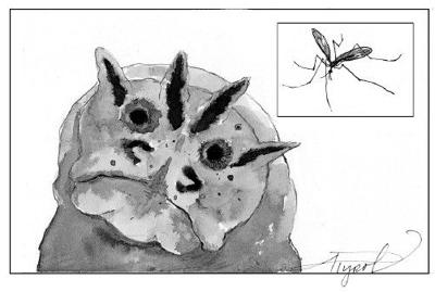 crane fly larvae face