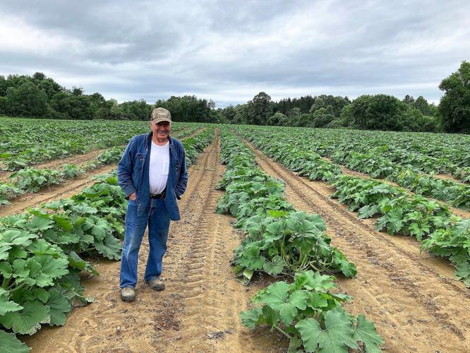 UVM Extension: Pumpkin pondering | Weekend Magazine | rutlandherald.com
