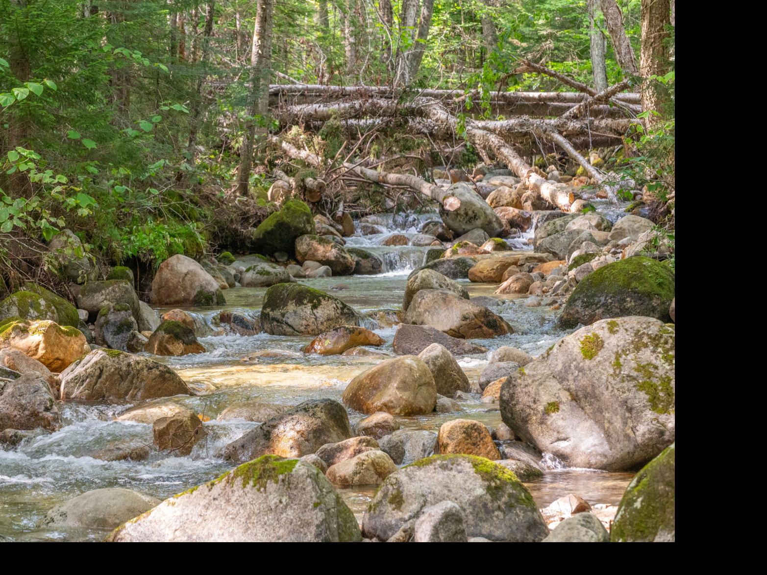 Community | rutlandherald.com