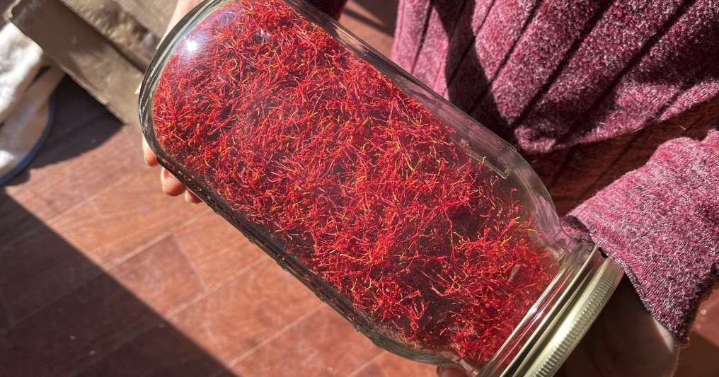 The surprising shifts climate change is bringing to Vermont farms: rice ...