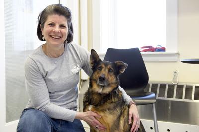 A patient hand holds the leash at Rutland County Humane Society | Local ...