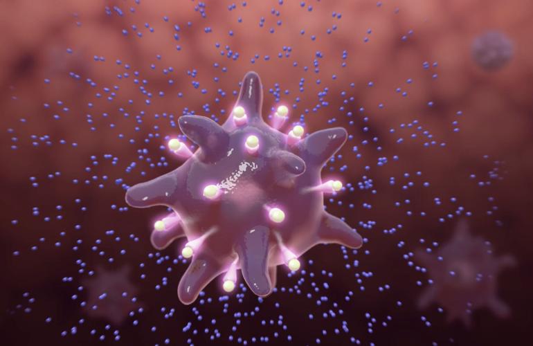 Surf Therapeutics Announces Early Feasibility Study (EFS) To Advance ...