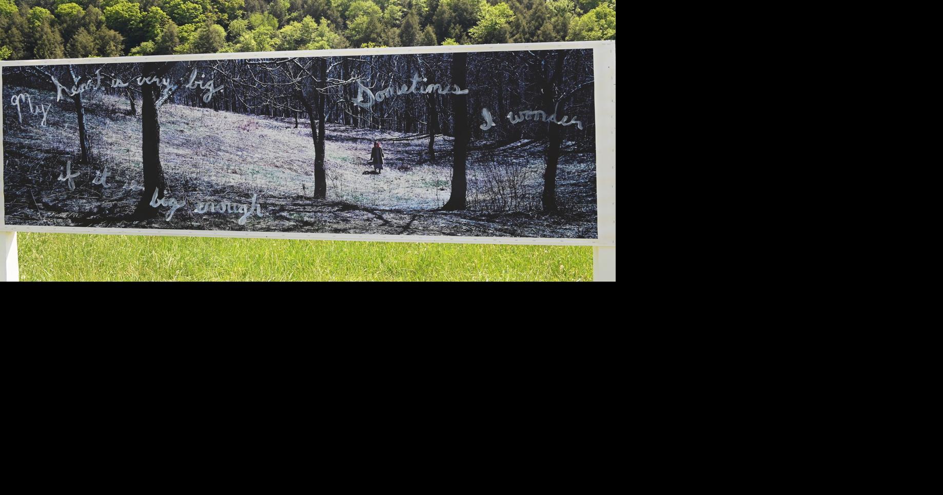 ‘My Heart Is Very Big’: Eve and Steve Schaub’s drive-by gallery in ...