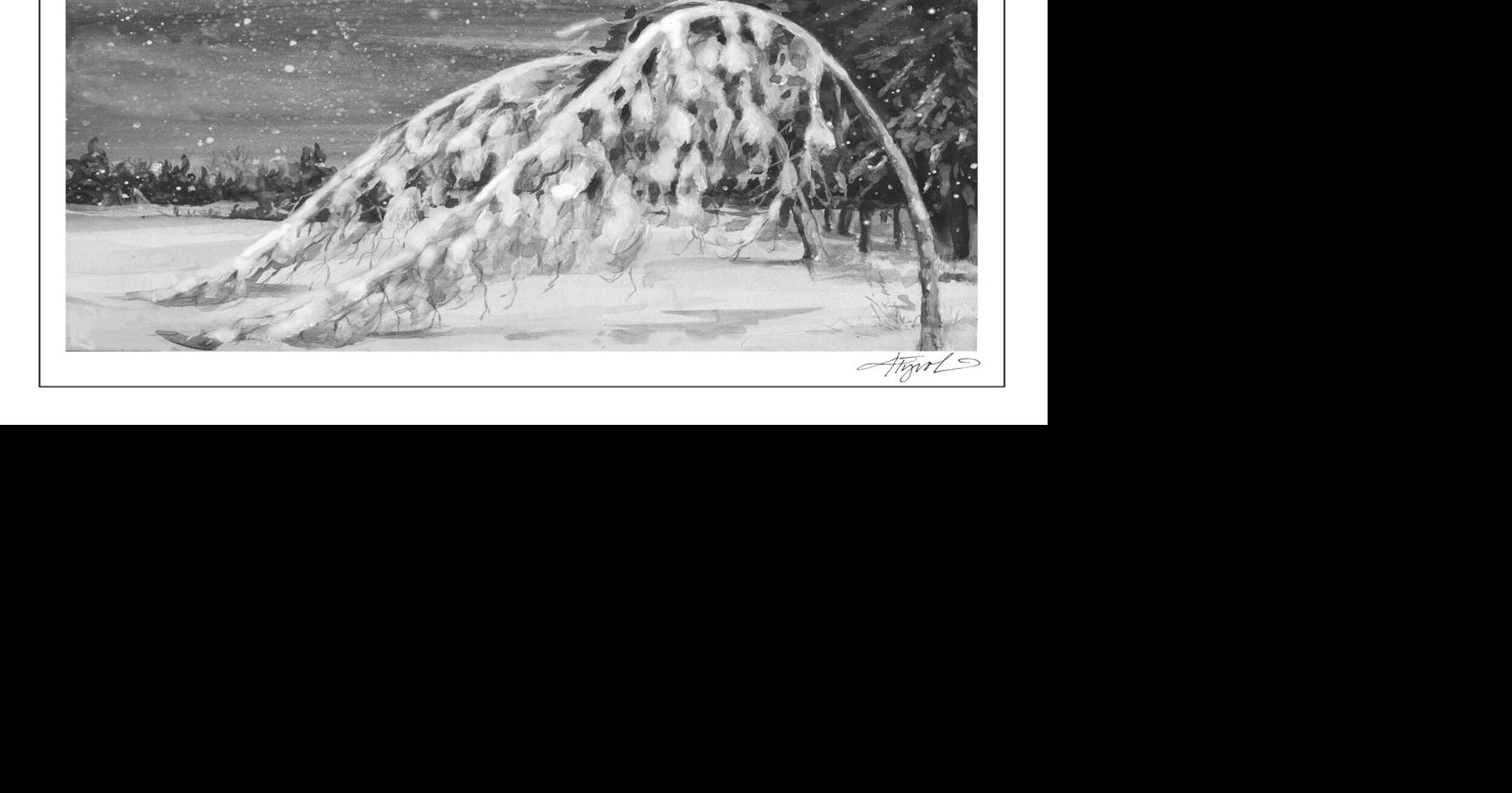 The Outside Story: Trees prepare for winter | Weekend Magazine ...