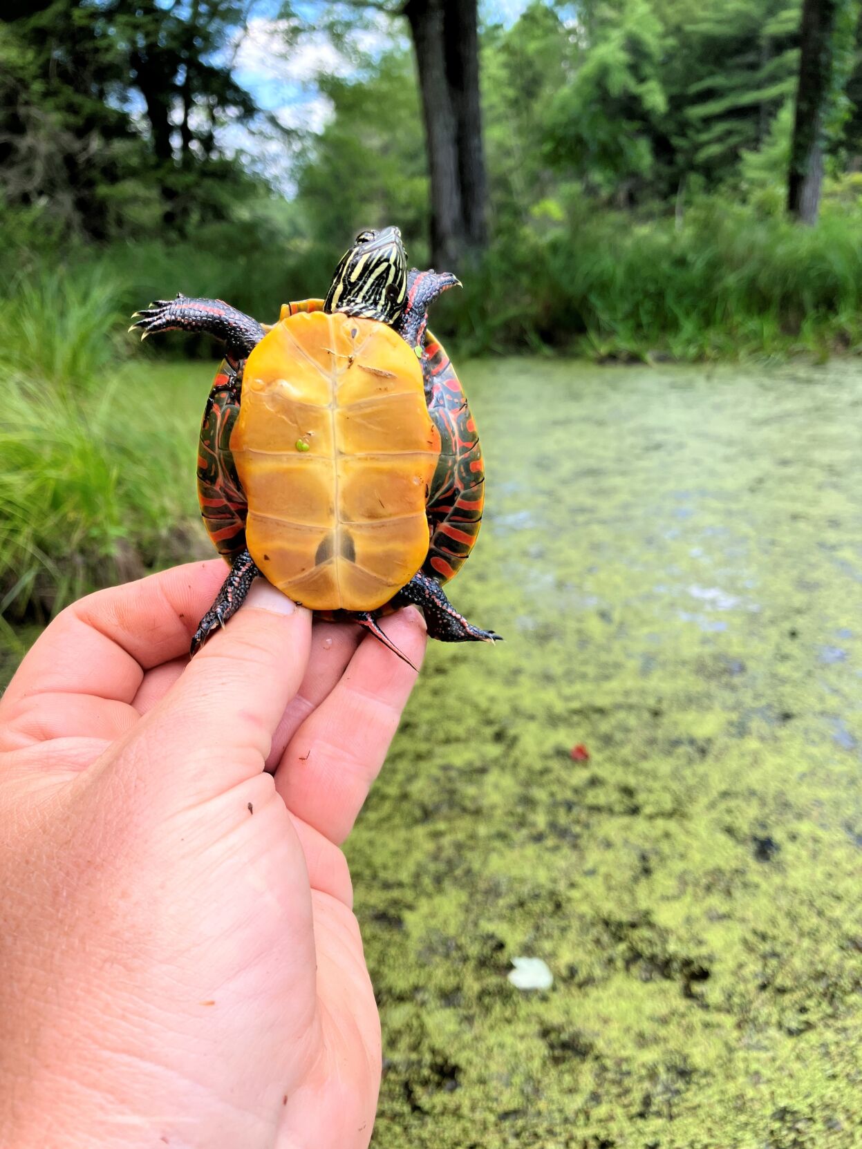 Rutland Herald Community News for May 7, 2025 | Community | rutlandherald.com